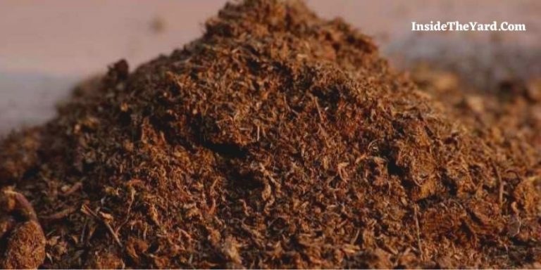 Before You Buy, Know How Much Does Peat Moss Cost! - Inside The Yard