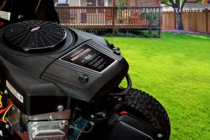 The Briggs And Stratton Carb Adjustment Diagram & Instructions