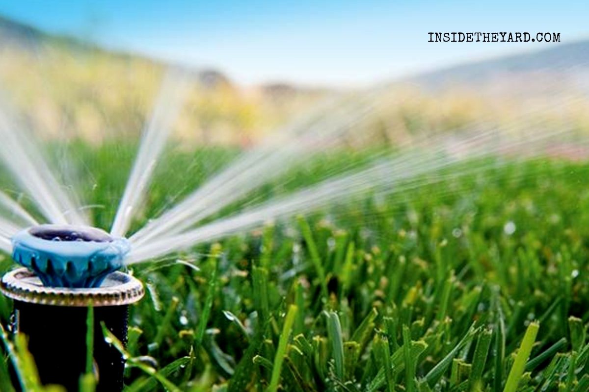 Hunter Mp Rotator Vs Rainbird Rotary: Which One To Buy?