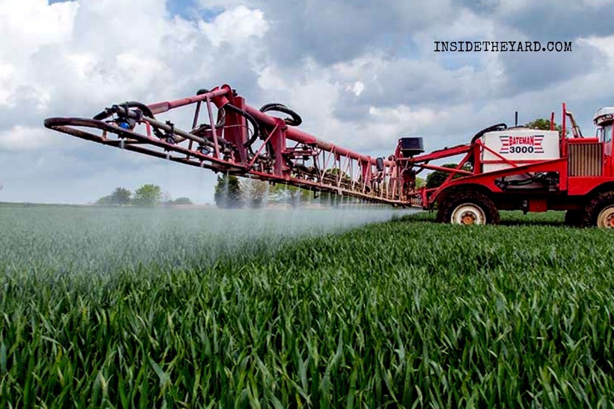 Best Way Of Spraying Fungicide In Hot Weather And Its Effectiveness