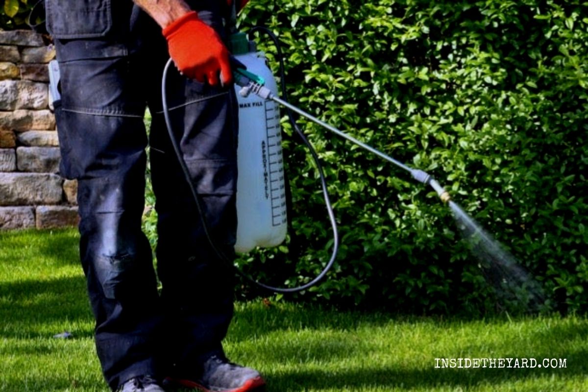 When To Apply Pre Emergent In Alabama A Complete Guide when-to-apply-pre-emergent-in-alabama-a-complete-guide