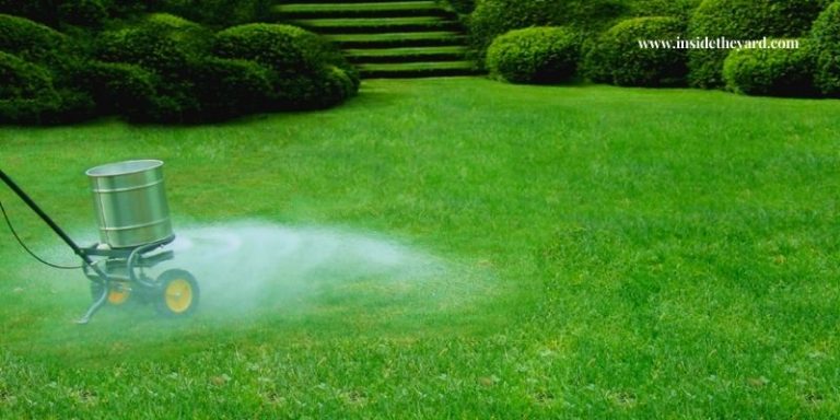 When To Apply Pre Emergent In Alabama- A Complete Guide! - Inside The Yard