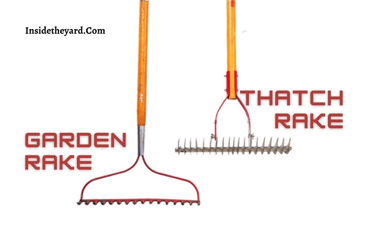 Thatch Rake Vs Garden Rake: What’s The Difference Between These Two ...